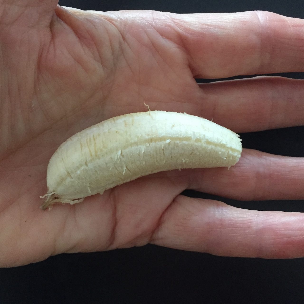 World’s Smallest Bananas ? – A Bellingen Diary